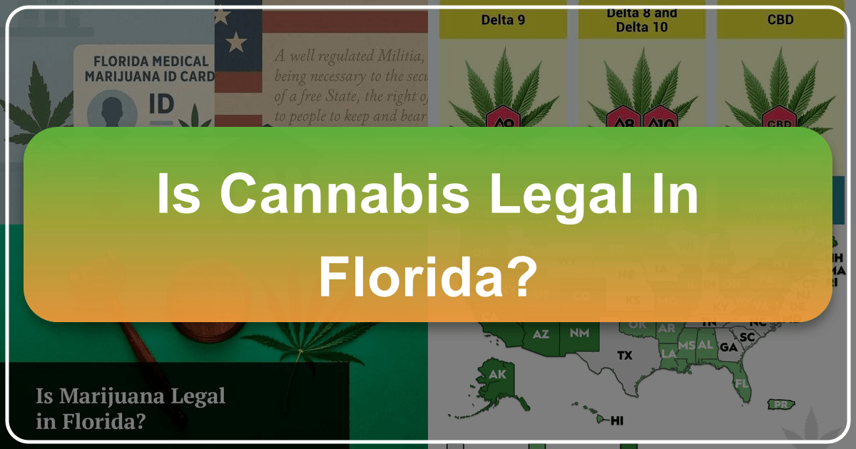 Is Cannabis Legal in Florida? Navigating the Sunshine State's Cannabis ...